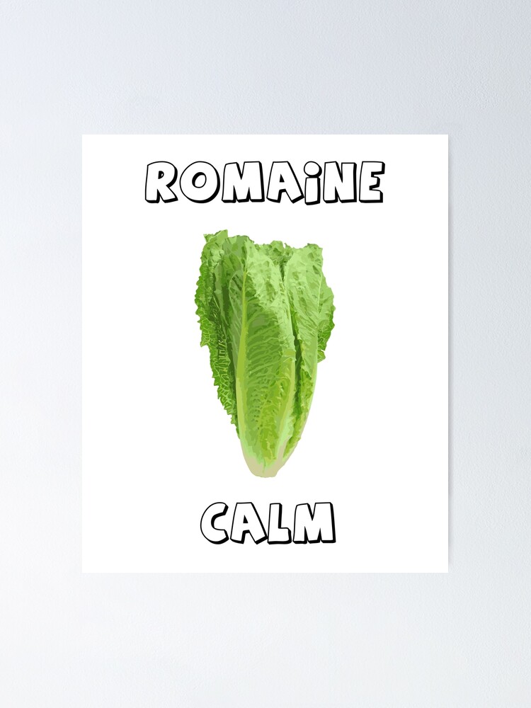 "Funny Romaine Calm Dad Joke Pun Art" Poster for Sale by UptownMatt91 ...