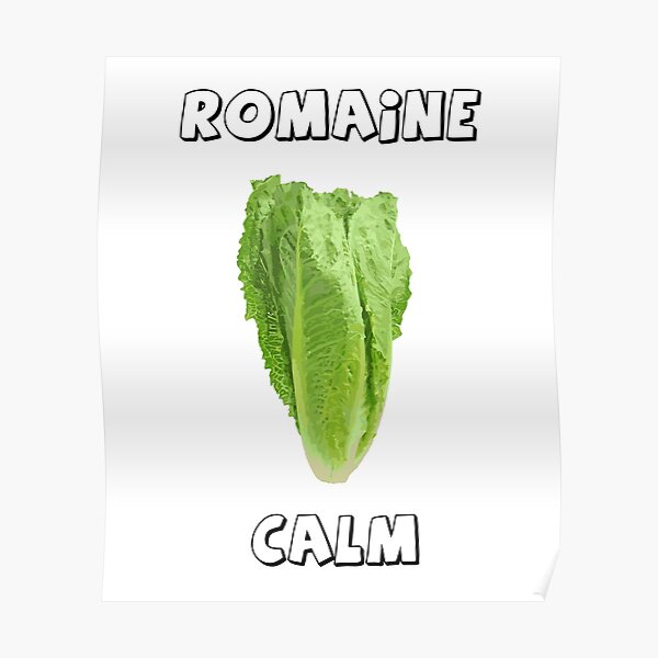 "Funny Romaine Calm Dad Joke Pun Art" Poster for Sale by UptownMatt91 ...