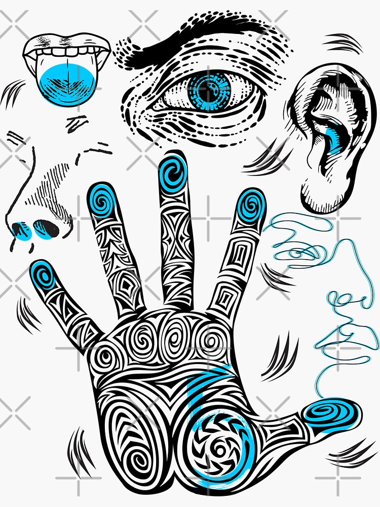 "Five senses" Sticker for Sale by artlaila | Redbubble