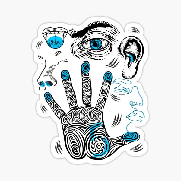 "Five senses" Sticker for Sale by artlaila | Redbubble