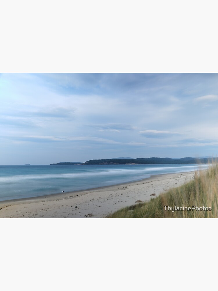 "Beach at Marion Bay" Sticker for Sale by ThylacinePhotos | Redbubble