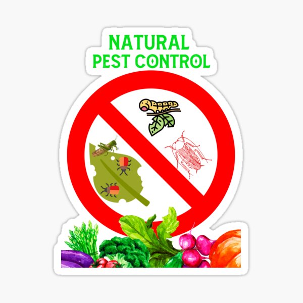 "Natural Pest Control Organic" Sticker for Sale by ZiAttaArt | Redbubble