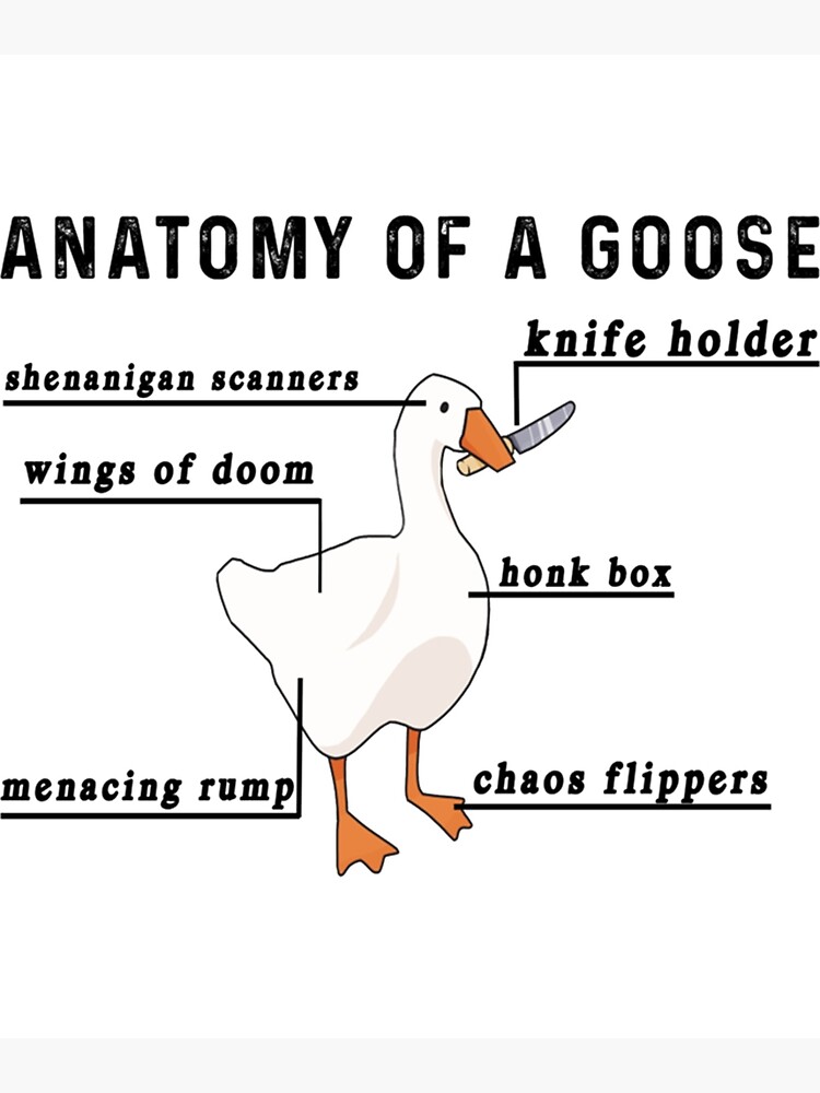 "Anatomy Of A Goose " Poster for Sale by quaztdsgstudio | Redbubble