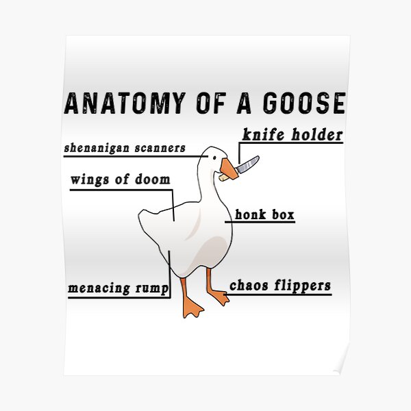 "Anatomy Of A Goose " Poster for Sale by quaztdsgstudio | Redbubble