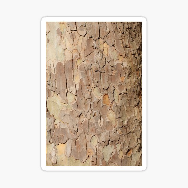 "Wood texture, background image, peeling brown tree bark" Sticker for ...