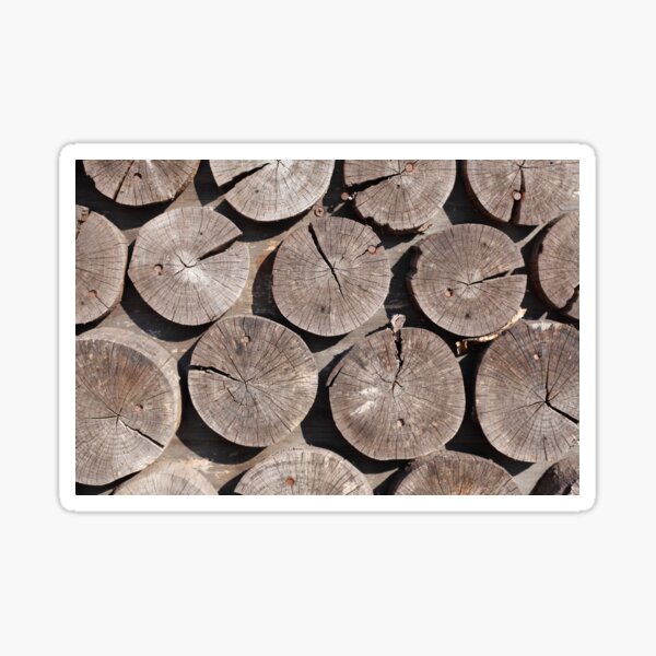 "Eye stacked gray logs, pieces of wood, firewood, background" Sticker ...