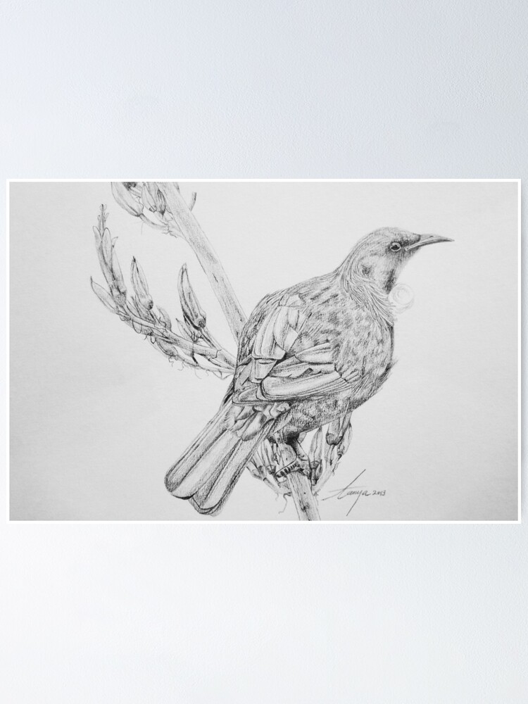 "Tui on Harakeke" Poster for Sale by tanyadann | Redbubble