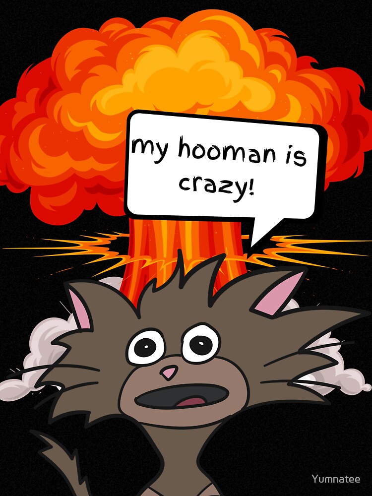 "my hooman is crazy cat art!" Sticker for Sale by Yumnatee | Redbubble