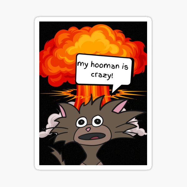 "my hooman is crazy cat art!" Sticker for Sale by Yumnatee | Redbubble