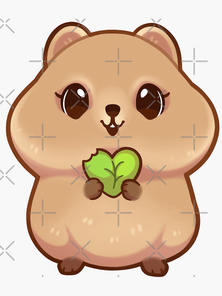 "Quokka love" Sticker for Sale by Lilypawstudio | Redbubble