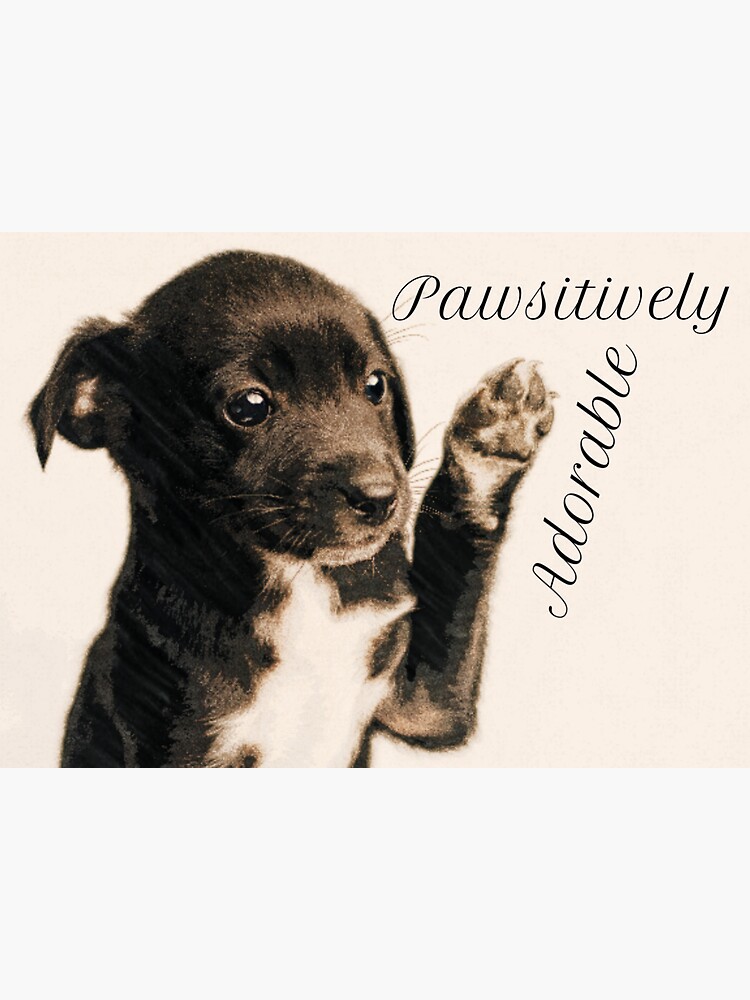 "Pawsitively Adorable" Sticker for Sale by Pickto | Redbubble