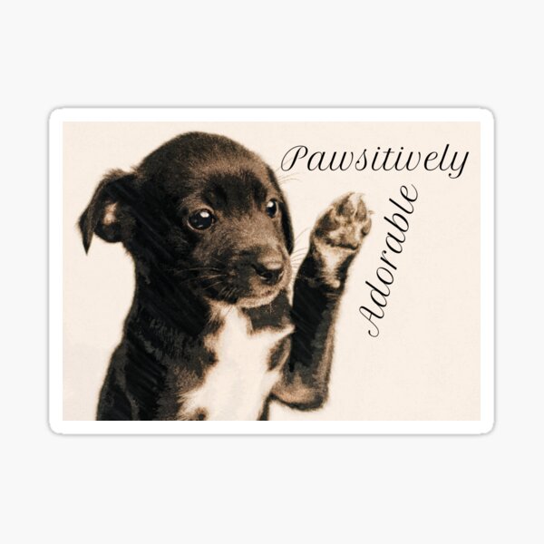 "Pawsitively Adorable" Sticker for Sale by Pickto | Redbubble