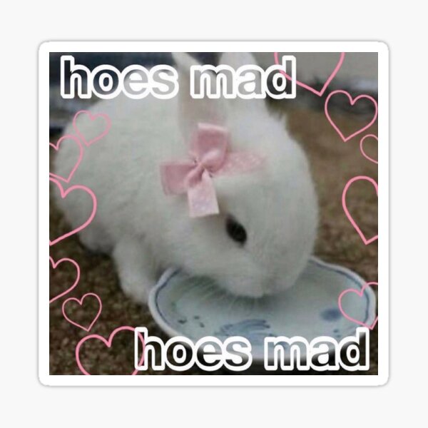 "hoes mad bunny" Sticker for Sale by girlbossmoment | Redbubble