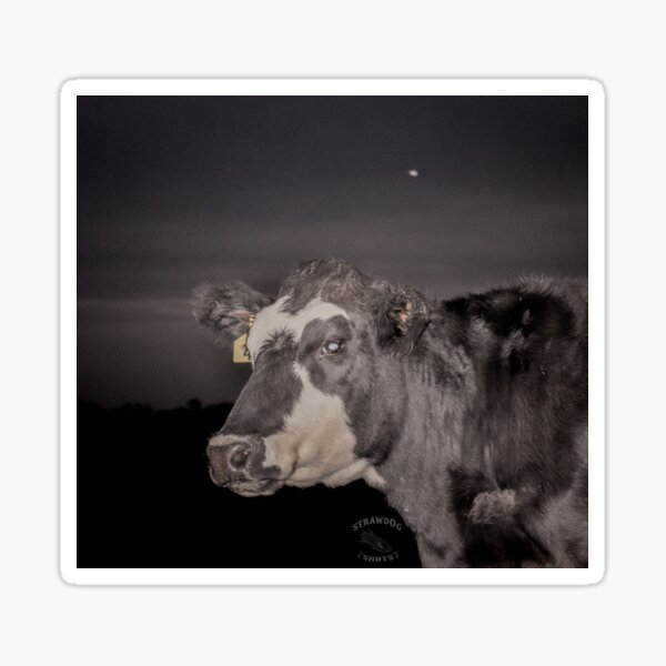 "Headshot" Sticker for Sale by StrawD0gShots | Redbubble