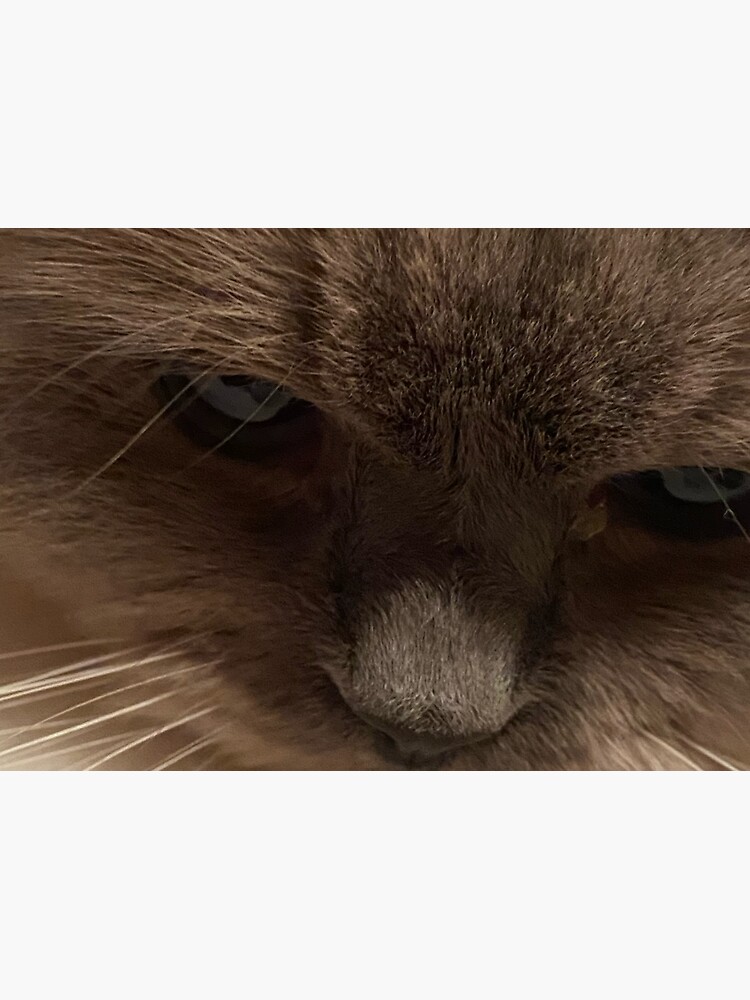 "Mims 2" Sticker for Sale by buttered-toasty | Redbubble