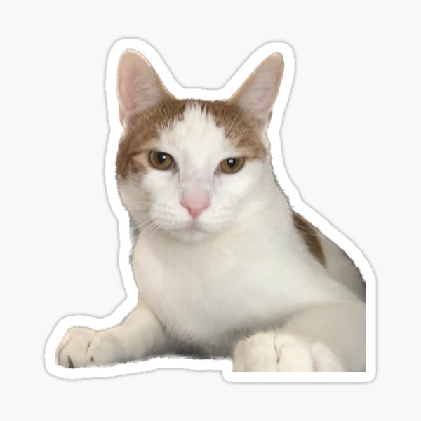 "El Gato" Sticker for Sale by HoundDog10 | Redbubble