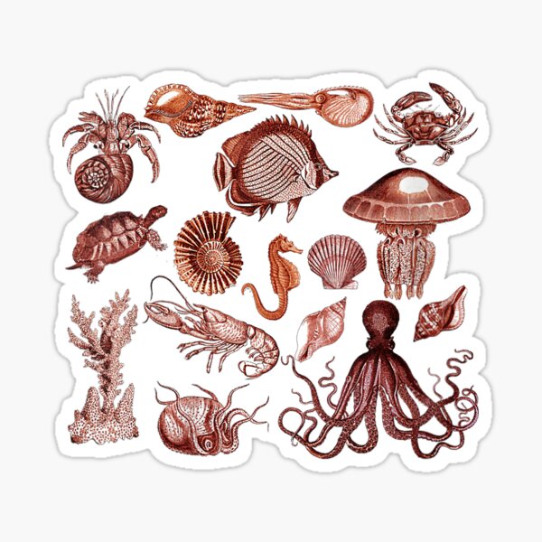 "Crustacean Core Design Sea Animals" Sticker for Sale by HebeReynolds ...