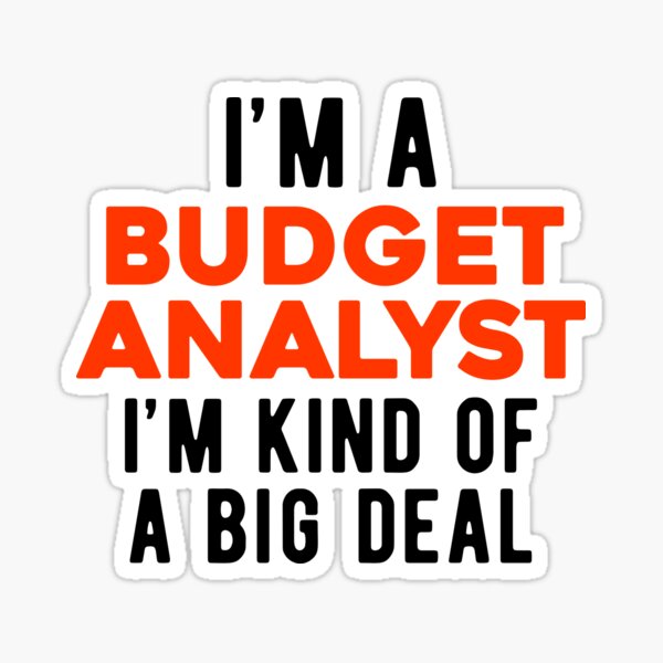 "Budget Analyst Big" Sticker for Sale by NestaReign | Redbubble