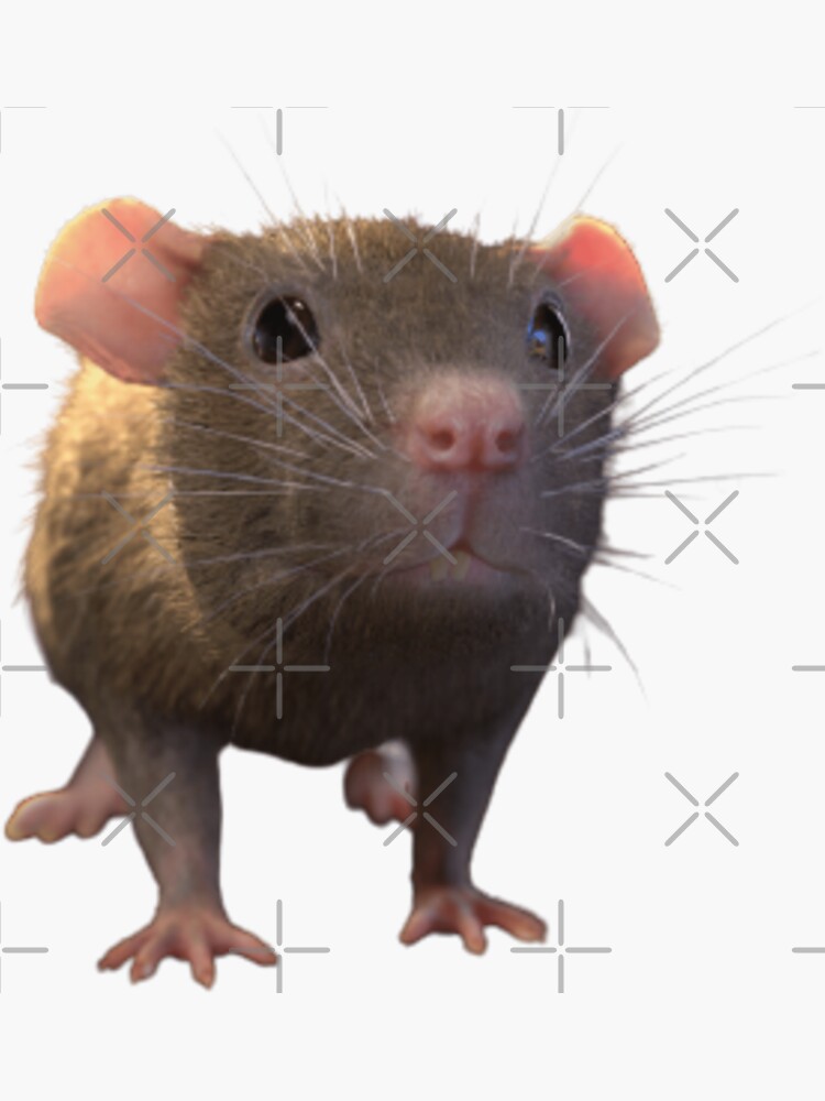 "cute remy ratatouille meme Sticker" Sticker for Sale by FIlluminati ...