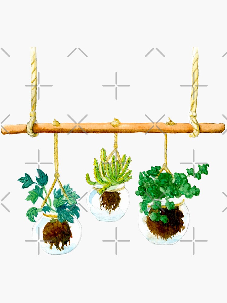 "Hanging plants" Sticker for Sale by vmillustration | Redbubble