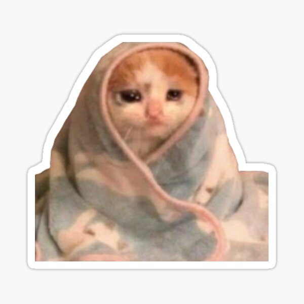 "cute cat in a blanket meme " Sticker for Sale by designedbyelly ...