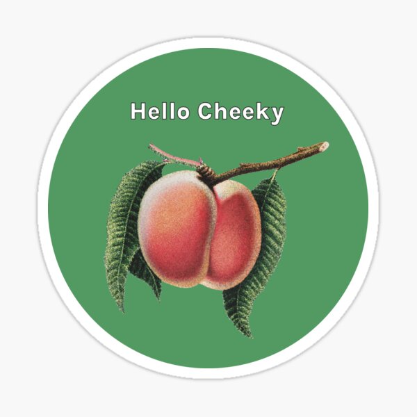 "Hello Cheeky" Sticker for Sale by ButcheredImage | Redbubble