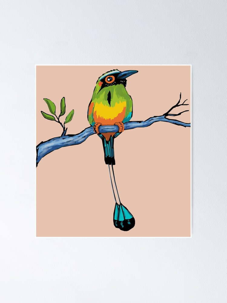 "Beautiful torogoz bird" Poster for Sale by paisajetropical | Redbubble