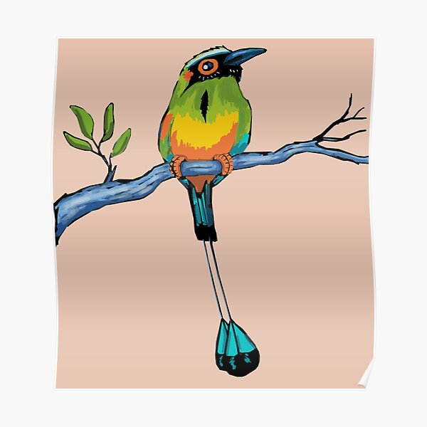 "Beautiful torogoz bird" Poster for Sale by paisajetropical | Redbubble