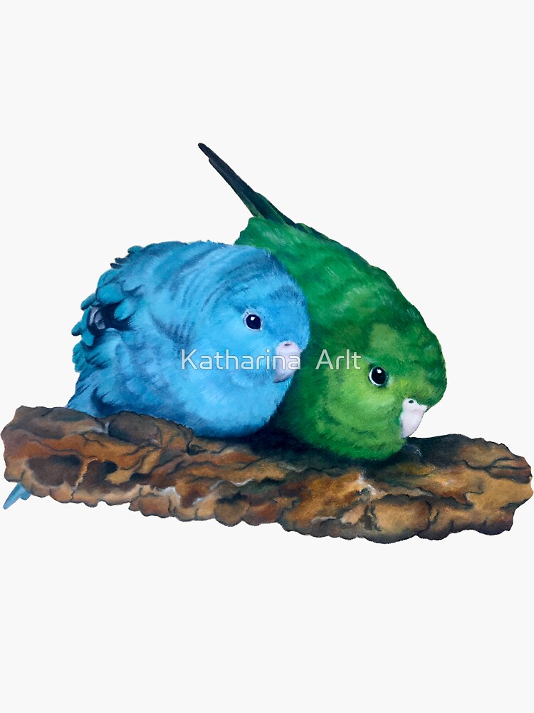 "Pair of Lineolated Parakeets" Sticker for Sale by KatharinaArlt ...