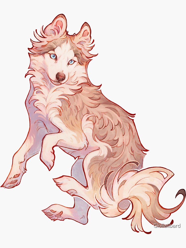 "Calliope the pomsky" Sticker for Sale by Giulialibard | Redbubble