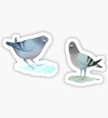 Pigeon: Stickers | Redbubble
