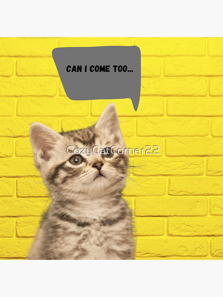 "Can I come too... cute cat face design" Poster for Sale by ...