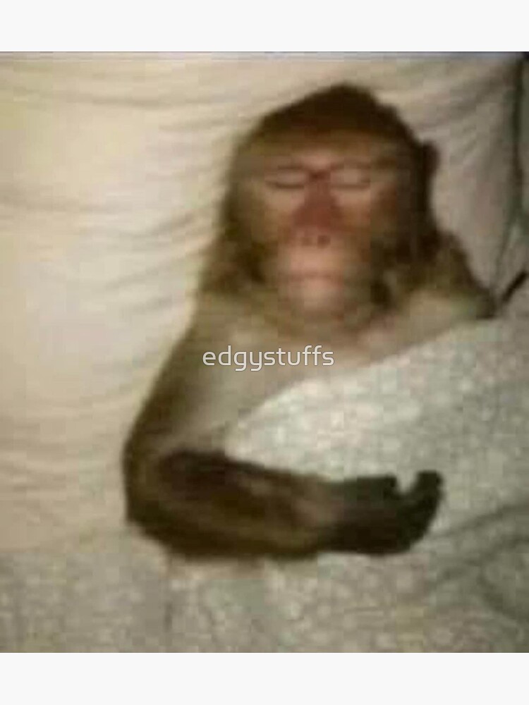 Sleepy Monkey Memes Wannabe Memes Wannabe Memes Added A New Photo.
