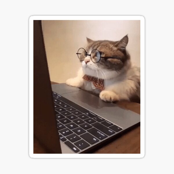 "Funny Cats And Computers Halloween Kitty For Pet Lovers, kitty ...