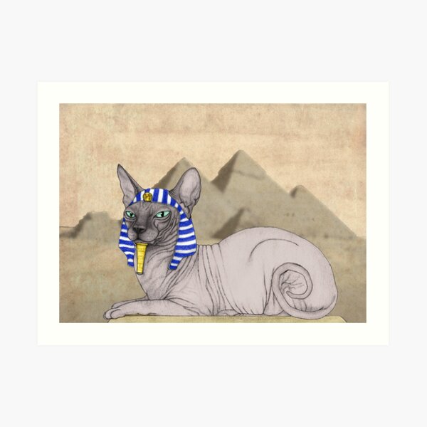 "Sphynx Cat With Pyramids Of Giza" Art Print by barruf | Redbubble