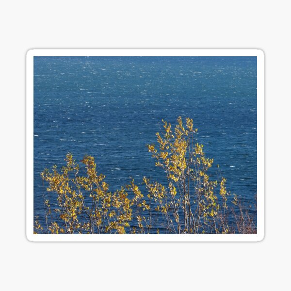"Dark Blue Sea and Yellow Winter Leaves-Puget Sound-Washington" Sticker ...