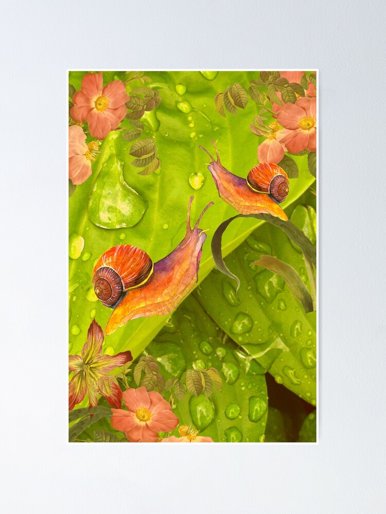 "SNAILS IN THE GARDEN - BOTANICAL SNAILS - VINTAGE SNAILS" Poster for ...