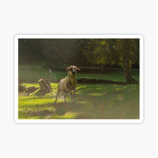 "Wait for Me" Sticker for Sale by davidd7 | Redbubble