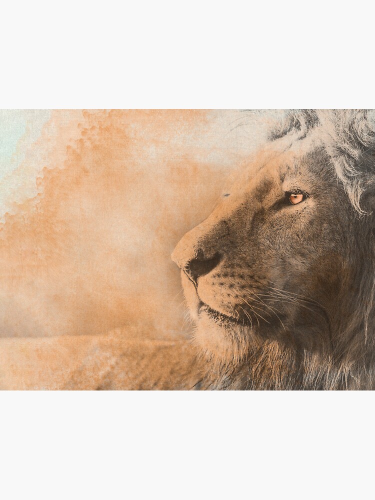 "Portrait of a Lion in Africa" Sticker for Sale by Mark Zajac | Redbubble