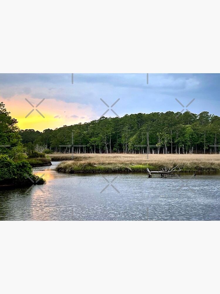 "Seeking Rest" Sticker for Sale by Beardeaux | Redbubble