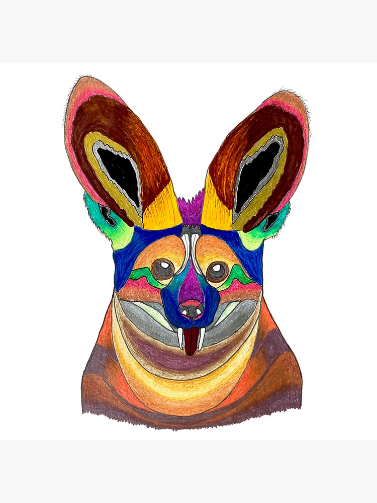 "Bat-eared Fox" Sticker for Sale by JimLorman | Redbubble