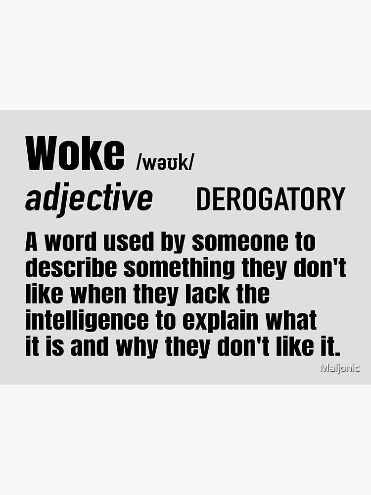 "Woke Pro Pride Pro Choice Anti Right Wing Dictionary" Sticker for Sale ...