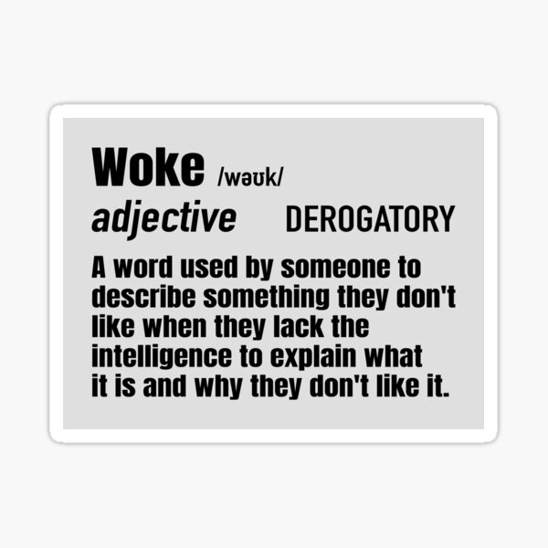 "Woke Pro Pride Pro Choice Anti Right Wing Dictionary" Sticker for Sale ...
