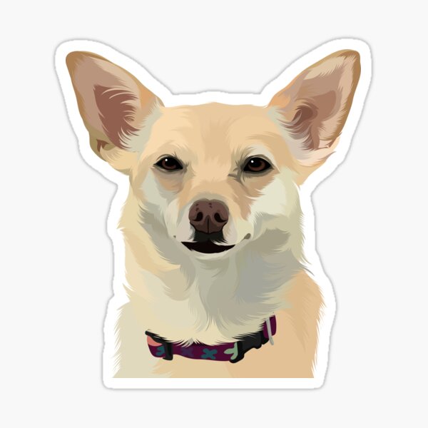 "Cute Little Dog Cihuahua" Sticker for Sale by WILDANGHUFRON | Redbubble