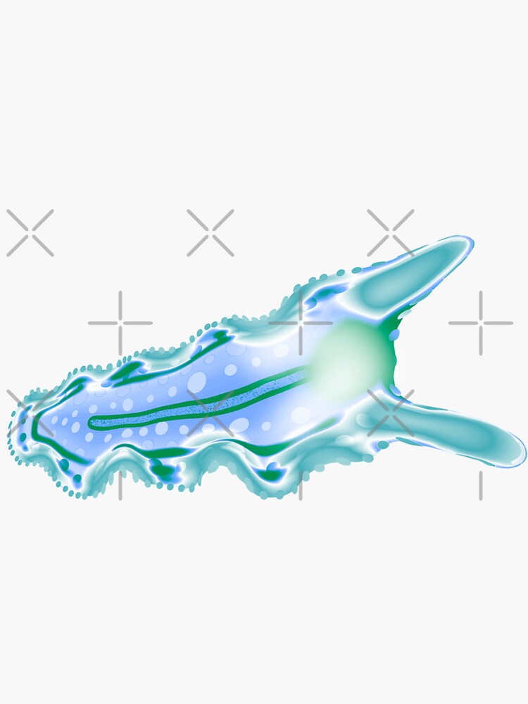 "Sea creature, Turbellaria " Sticker for Sale by Osher-BioArt | Redbubble