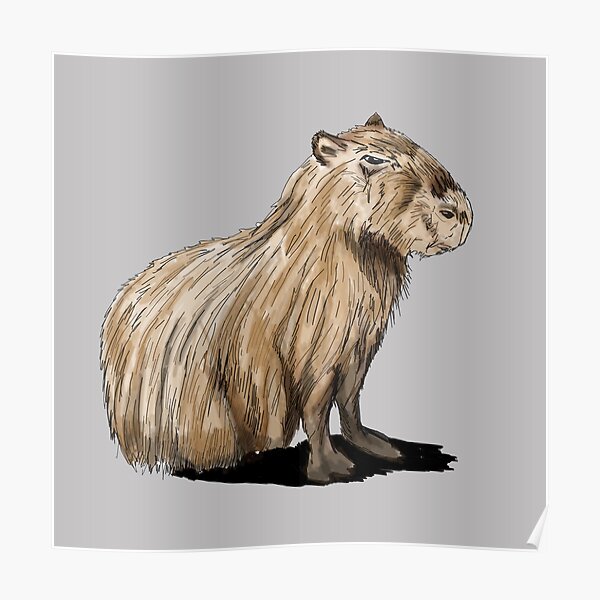 "Angry Capybara " Poster for Sale by RiceDrawings | Redbubble