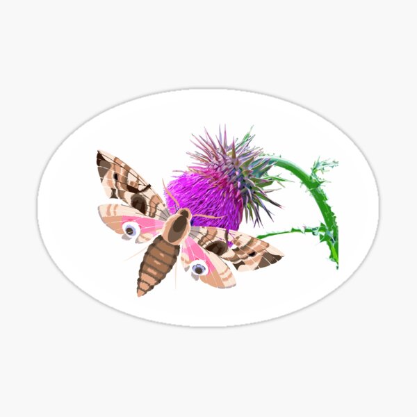 "Thistle and moth" Sticker for Sale by bwalid05 | Redbubble