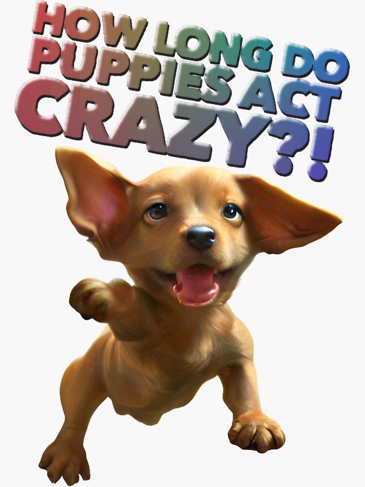 "How Long Do Puppies Act Crazy" Sticker for Sale by LittlePetDesign ...