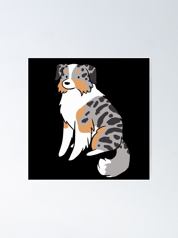 "Australian shepherd setting cute illustration " Poster for Sale by ...