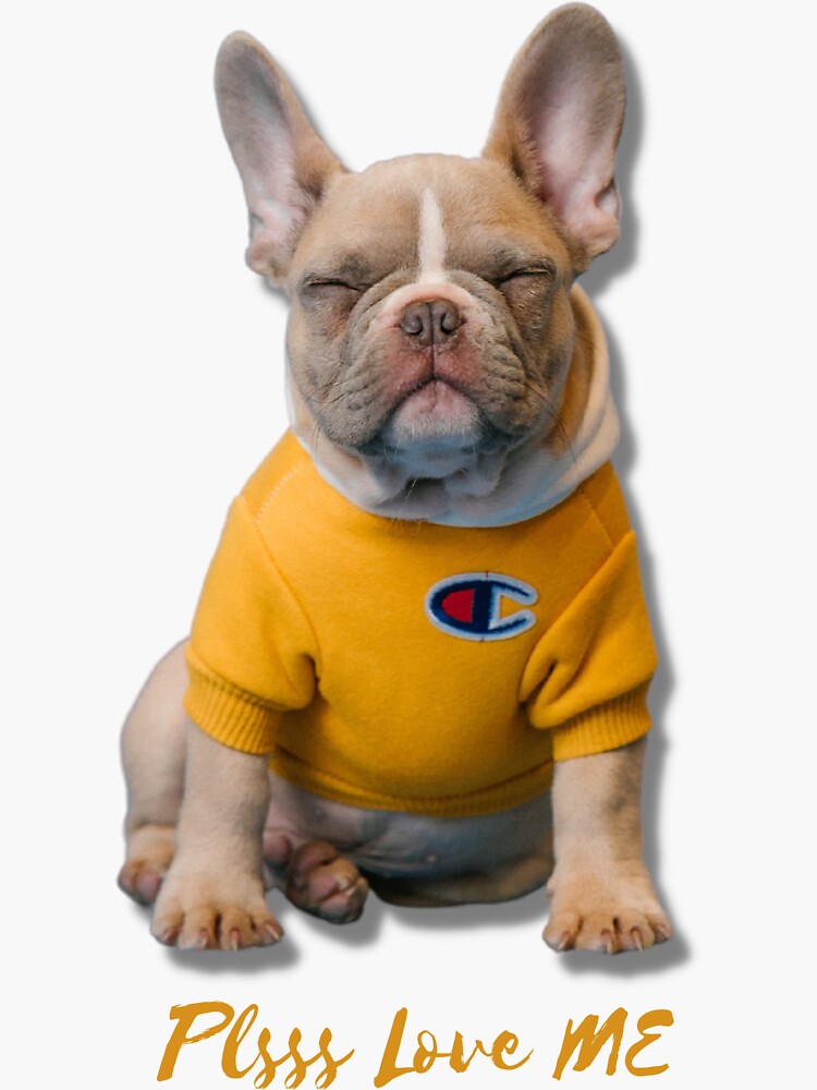 "Plsss Love Me Pug" Sticker for Sale by MerchGiants | Redbubble